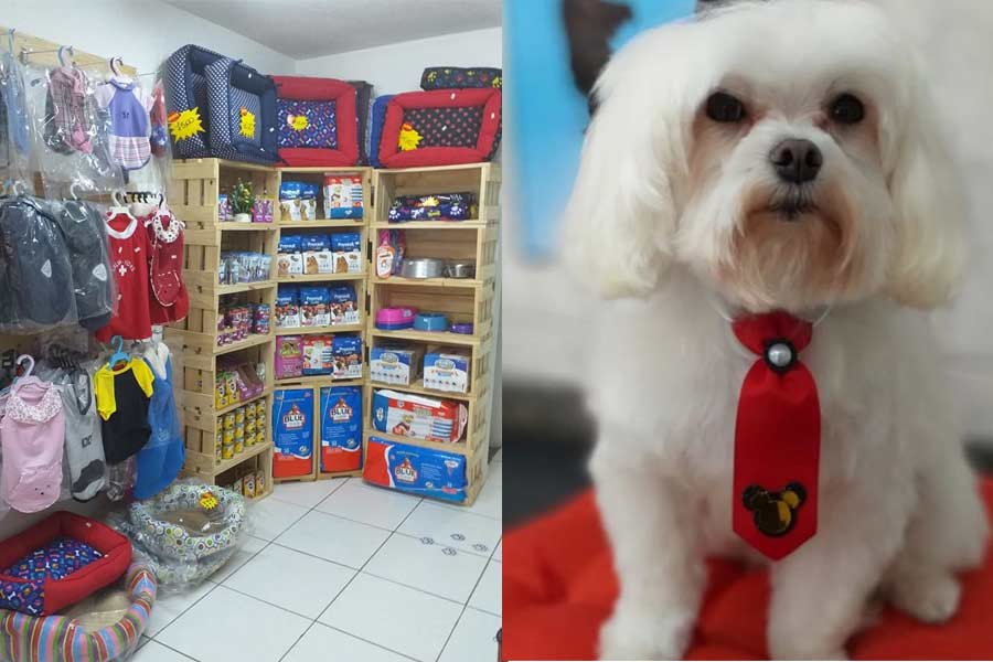 Pimp my Pet, é um espaço completo de atendimento ao seu pet em Taboão ...
